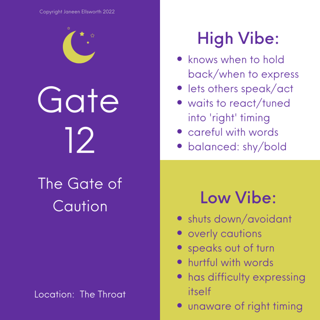 Gate 12: The Gate of Caution - Parenting for a New Paradigm